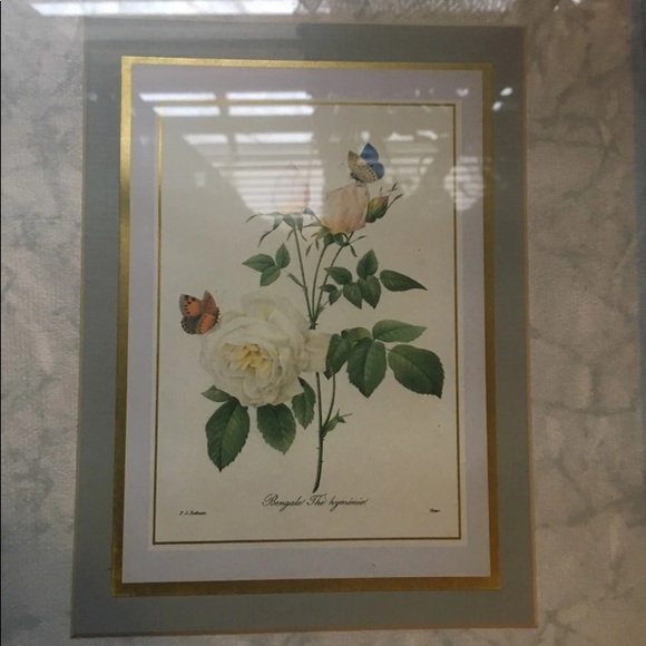 Wall Decor | Vintage Print Of Bengale The Hymenee | Poshmark